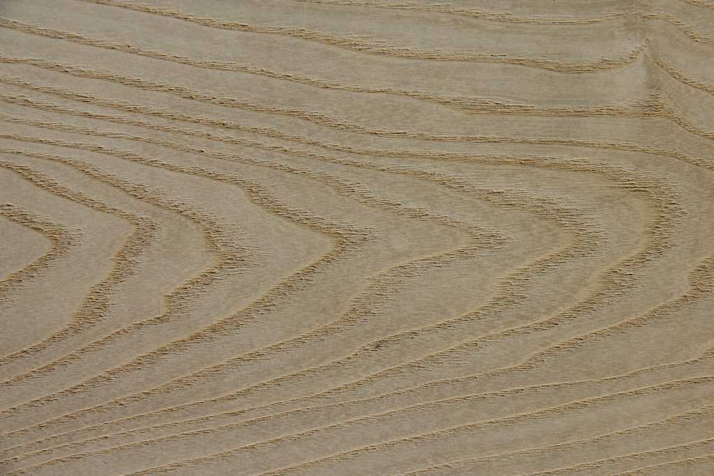 American White Ash - Veneer Panels Plus