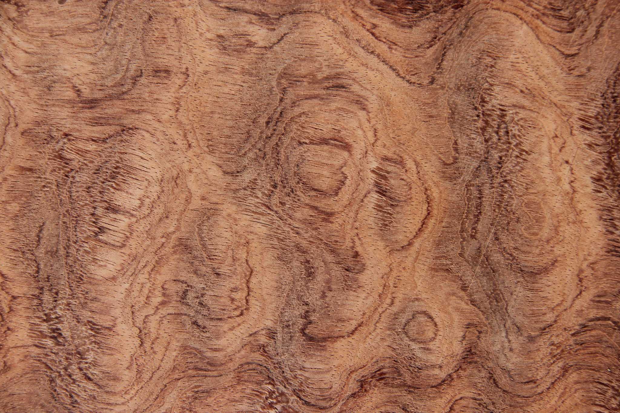 Bubinga - Veneer Panels Plus